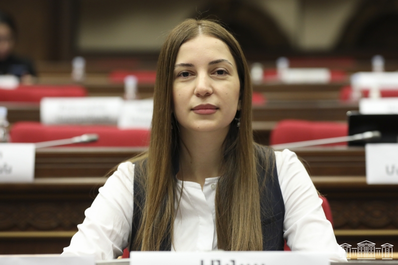 EU should make a targeted assessment of Azerbaijan and Turkey – MP Anna Grigoryan – Public Radio ...