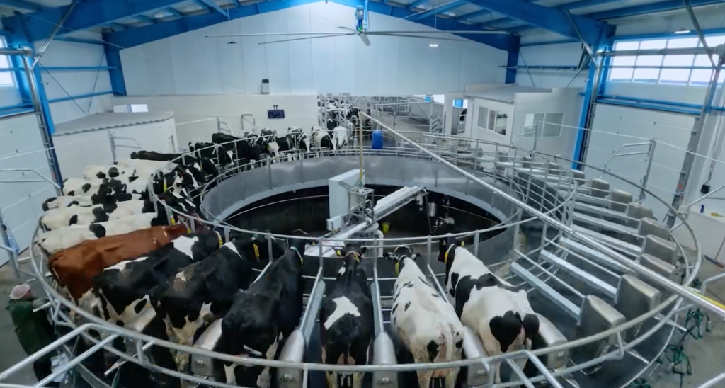Unique modern livestock complex opens in Armenia’s Tashir – Public ...